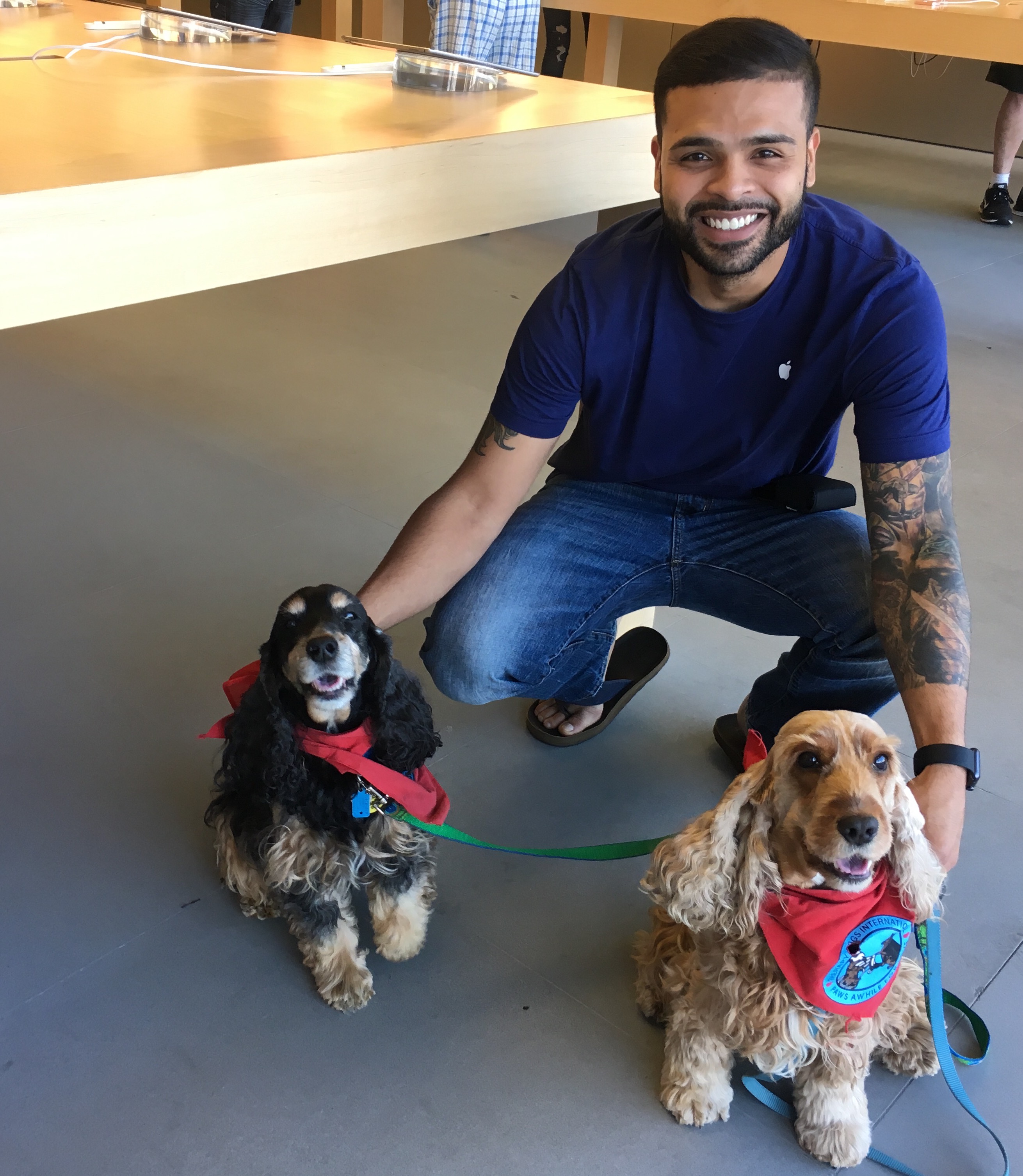 Dogs Matter! | Help to become a therapy dog team